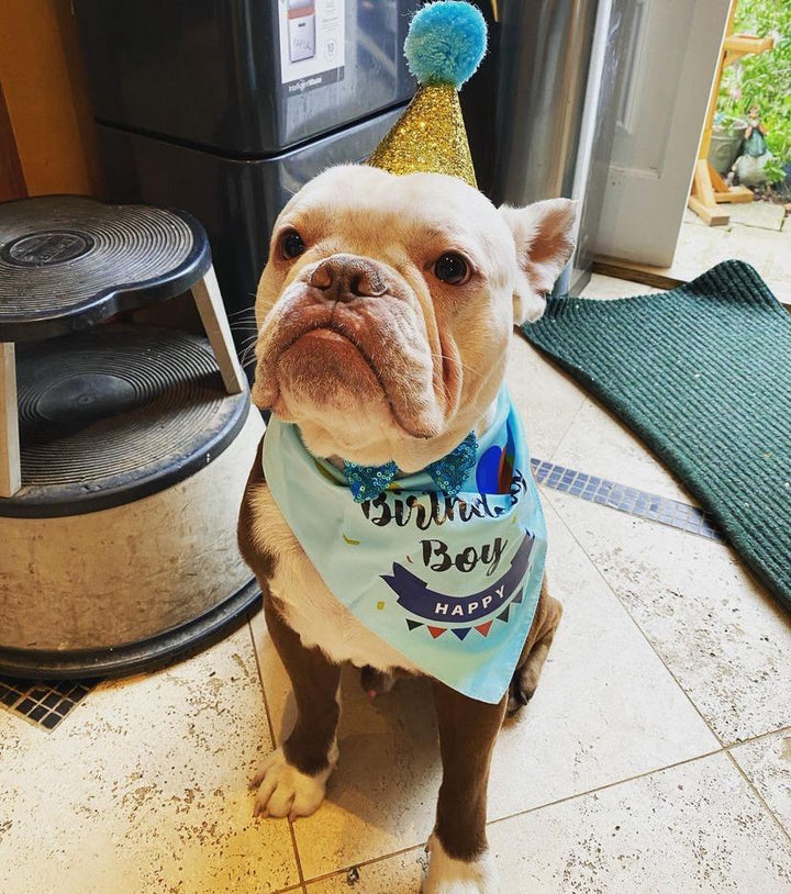 Independent, Quirky, Beautiful & Useful – Kooks Unlimited